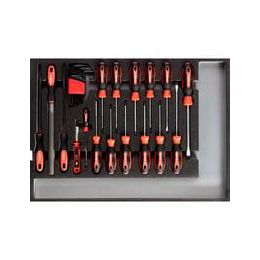 Gedore Werkzeugsatz Schraubendreher + Feilen in CT-Modul, 26-teilig, Werkzeug-Set schwarz/rot, (R22350002)
