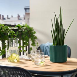 IKEA DAKSJUS Blumentopf