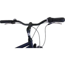 Hawk Citytrek Lady Deluxe Cityrad Damen 28 Zoll 53 cm Trapez - Anthrazit