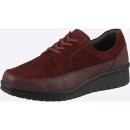 Schn&uuml;rschuh Casual Looks, Damen, Gr. 36, dunkelrot, Glattleder, Veloursleder, Schuhe Schn&uuml;rschuh