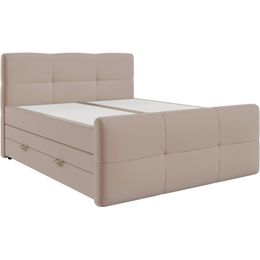Boxspringbett FORTE "Star", beige, B:166cm L:227cm, Der Bezugsstoff Paros 2 ist ein glatter Velvet-Stoff mit dezentem Glanz. Besonders weich, schwer entflammbar und zertifiziert nach OEKO-TEX Standard 100., Komplettbetten, Boxspringbett