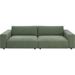 Big-Sofa Musterring "MR Lucia, puristischer Luxus von Musterring", turtle, B:292cm H:81cm T:124cm, 94% Polyester, 6% Nylon, Sofas, Big-Sofa, Erstklassige Kammerkissen, weiche Polsterung & zeitloser Look