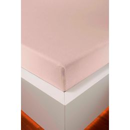Spannbettlaken bellana "bellana Aqua mit Elasthan, 160 g/m&sup2;", lila (pearl), 1 Stk., Jersey-Elasthan, 140x200 140x210 140x220 150x200 150x210 150x220 160x200 160x210 160x220 35cm, Jersey-Elasthan, Obermaterial: 97% Baumwolle, 3% Elasthan, Bettlaken, Spannbettlaken, Spannbetttuch f&uuml;r Matratzen bis 35cm H&ouml;he, b&uuml;gelfrei, faltenfrei, Topseller