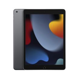 Apple iPad (10,2") Wi-Fi 64GB space grau