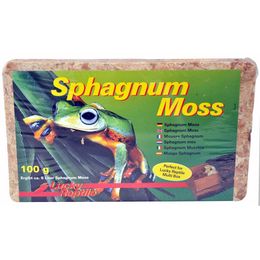 LUCKY REPTILE Sphagnum Moos 100g Terrarium Bodengrund