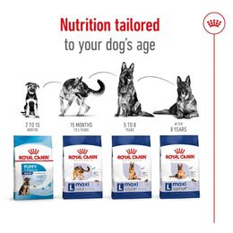 Royal Canin MAXI Ageing 8+ Hunde-Trockenfutter f&uuml;r &auml;ltere gro&szlig;e Hunde 15kg
