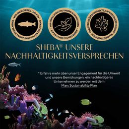 Sheba Fresh Cuisine Taste of Tokyo Thunfisch, Lachs & Wei&szlig;fisch Katzen-Nassfutter ohne k&uuml;nstliche Farb- und Konservierungsstoffe 6x50 g