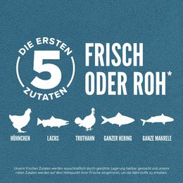 Orijen Cat Guardian 8 Katzen-Trockenfutter getreidefrei 2x4,5kg