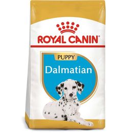 Royal Canin Dalmatian Puppy Welpenfutter f&uuml;r Dalmatiner Hunde-Trockenfutter unterst&uuml;tzt die nat&uuml;rlichen Abwehrkr&auml;fte 12kg