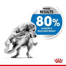 Royal Canin LIGHT WEIGHT CARE MEDIUM Trockenfutter f&uuml;r zu &Uuml;bergewicht neigenden Hunden 3 kg