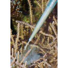 Aqua Medic pipette f&uuml;r die Aquarienpflege 60cm