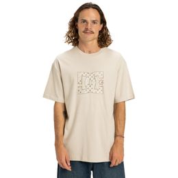 T-Shirt DC Shoes "DC Star Filled", Jungen, Gr. M, oatmeal, Obermaterial: 75% Baumwolle, 25% Baumwolle., Shirts T-Shirt