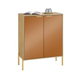 sobuy SCHUHSCHRANK Gold