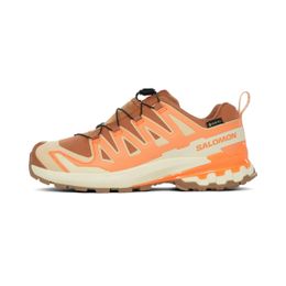 Salomon XA Pro 3D V9 GTX Damen