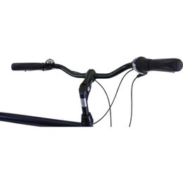 Hawk Citytrek Lady Deluxe Cityrad Herren 28 Zoll 57 cm Diamant - Anthrazit