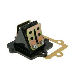Membranblock Top Performances Racing f&uuml;r Minarelli liegend, CPI, Keeway, 1E40QMB