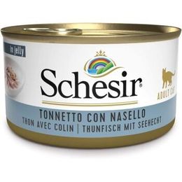 Schesir Adult Thunfisch mit Seehecht 12x85g
