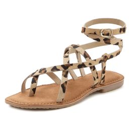 Damen Sandale, Braun, Gr. 36, French Connection, Sandalen & Sandaletten, Material: Leder