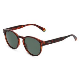 Polaroid PLD 6175/S | Unisex-Sonnenbrille | Fassung: Vollrand, Panto, Kunststoff, Havanna Gl&auml;nzend | Glasfarbe: Gr&uuml;n