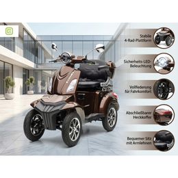E-Seniorenmobil MAXXI 4.0 - Blei Akku - 1000W - 25 km/h - BRAUN