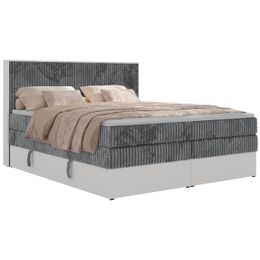 BOXSPRINGBETT TRAVIT KING 140/200 - Grau Cord - Topper T25 - H3