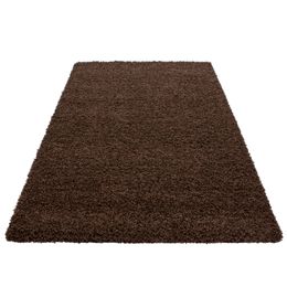 Ayyildiz Hochflorteppich Life Brown Braun ca. 200x290cm