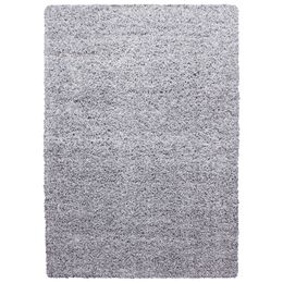 Ayyildiz Hochflorteppich Life Lightgrey Hellgrau ca. 160x230cm