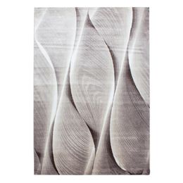 Ayyildiz Flachwebeteppich Parma Braun ca. 280x370cm