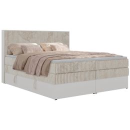 BOXSPRINGBETT TRAVIT KING 180/200 - Beige Cord - Topper T25 - H3