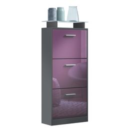 Vladon SCHUHSCHRANK Lavia Front in Brombeer Hochglanz