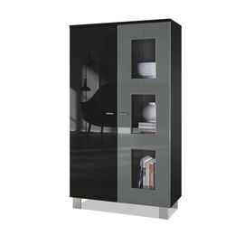 Vladon VITRINE Denjo T&uuml;r in Grau Hochglanz
