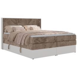 BOXSPRINGBETT TRAVIT KING 140/200 - Braun Cord - Topper Visco - H3