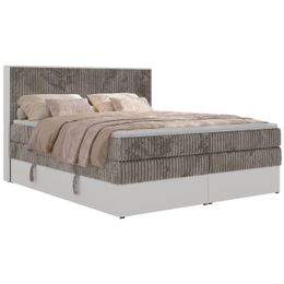 BOXSPRINGBETT TRAVIT KING 160/200 - Hellbraun Cord - Topper T25 - H3