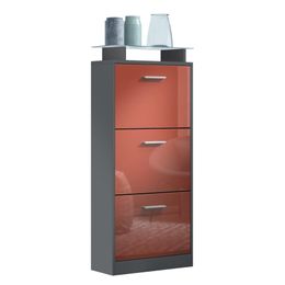 Vladon SCHUHSCHRANK Lavia Front in Bordeaux Hochglanz