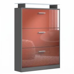 Vladon SCHUHSCHRANK Lavia Front in Bordeaux Hochglanz