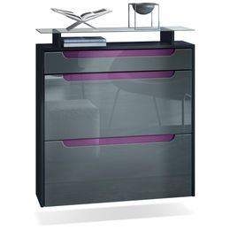 Vladon SCHUHSCHRANK Annie Grau Hochglanz / Brombeer Hochglanz