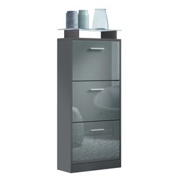 Vladon SCHUHSCHRANK Lavia Front in Grau Hochglanz