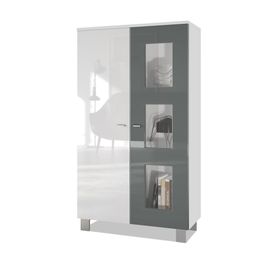 Vladon VITRINE Denjo T&uuml;r in Grau Hochglanz
