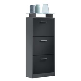 Vladon SCHUHSCHRANK Lavia Front in Schwarz mattt
