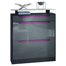 Vladon SCHUHSCHRANK Fiesta Grau Hochglanz / Brombeer Hochglanz