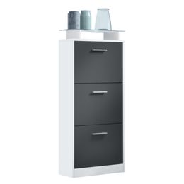 Vladon SCHUHSCHRANK Lavia Front in Schwarz mattt