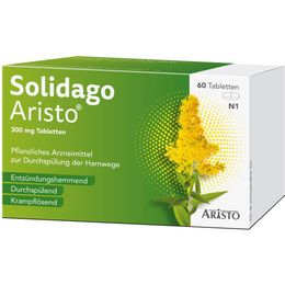 Solidago Aristo 300 mg Tabletten 60 St