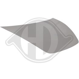 DIEDERICHS Motorhaube 7930101 f&uuml;r Tesla