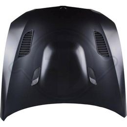 DIEDERICHS Motorhaube 1216200