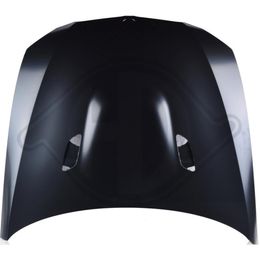 DIEDERICHS Motorhaube 1216202 vorne