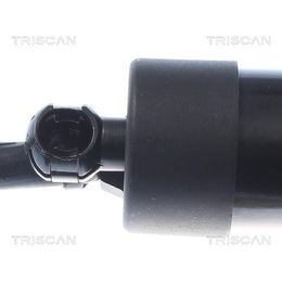 TRISCAN Gasfeder, Koffer-/Laderaum 871020303 f&uuml;r Porsche