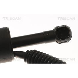 TRISCAN Gasfeder, Koffer-/Laderaum 871011354 f&uuml;r BMW