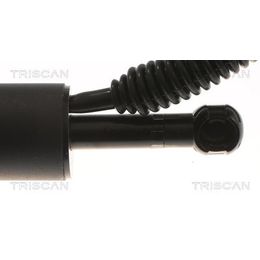 TRISCAN Gasfeder, Koffer-/Laderaum 871011355 f&uuml;r BMW