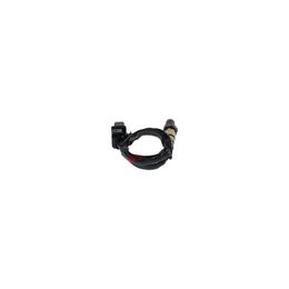 Bosch Lambdasonde 0281004545 f&uuml;r Fiat