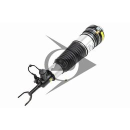 DUNLOP AIRSUSPENSION Luftfederbein 71041 Vorderachse links f&uuml;r VAG Audi
